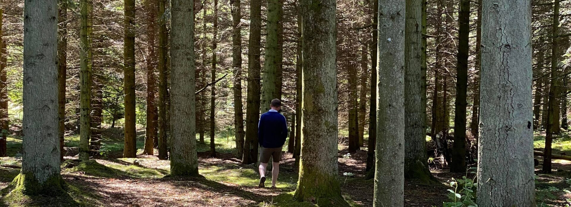 Helt i skoven eller Helt i skoven - Foreningen Jordforbindelsen